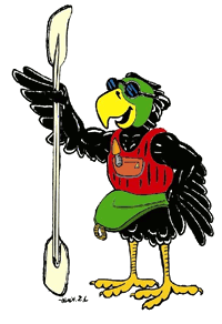 blackparrot_t – Heavner Canoe & Kayak Rental